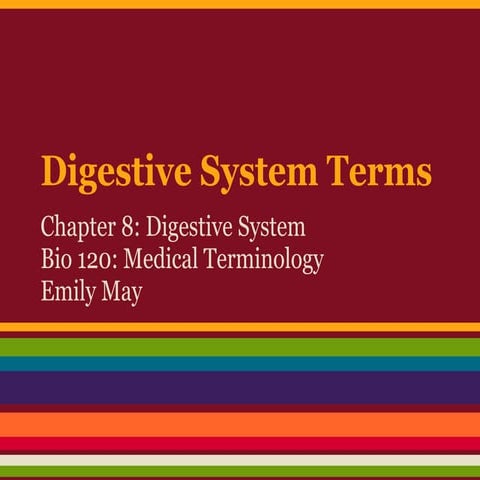 Digestive System Medical Terminology | PPTX