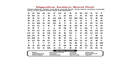 Digestive System Word Search
