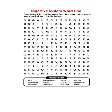 Digestive system word find | DOC