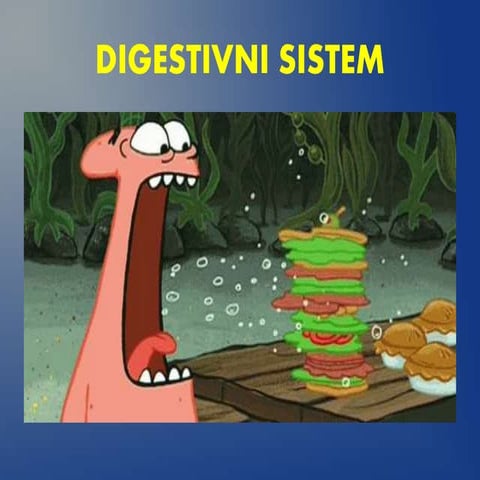 Digestivni trakt | PPT