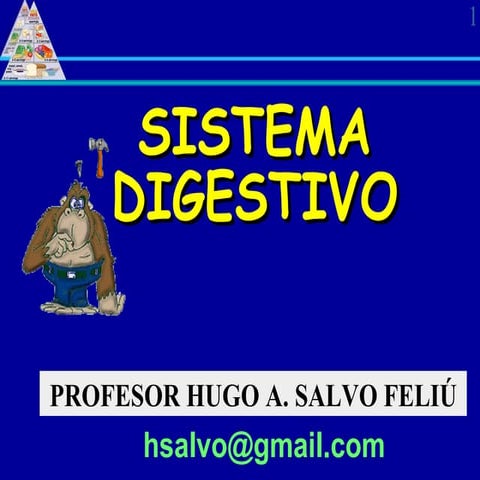 Digestivo | PPT