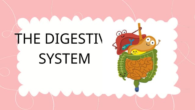 Science Grade 8- The Digestive System.pptx