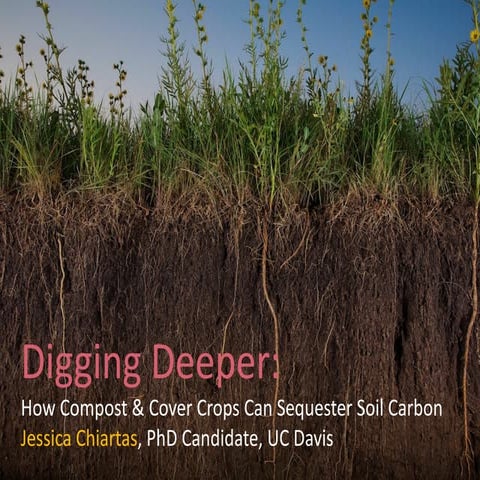 Digging Deeper: How Compost & Cover Crops Can Sequester Soil Carbon | PPT