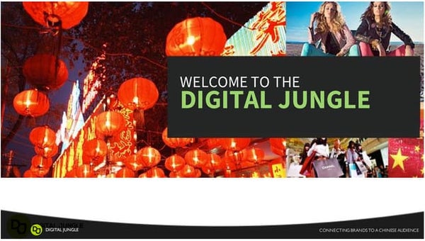 Chinese Microblog Infographic