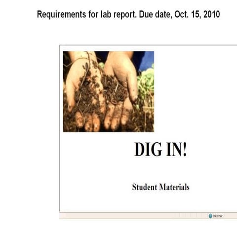 Dig in student | PPT
