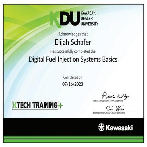 Digital-Fuel-Injection-Systems-Basics.pdf