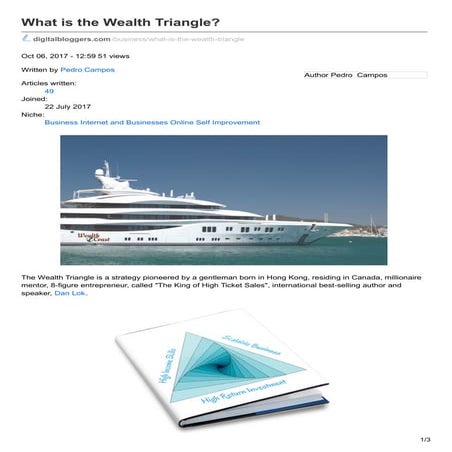 What is the Wealth Triangle? | PDF