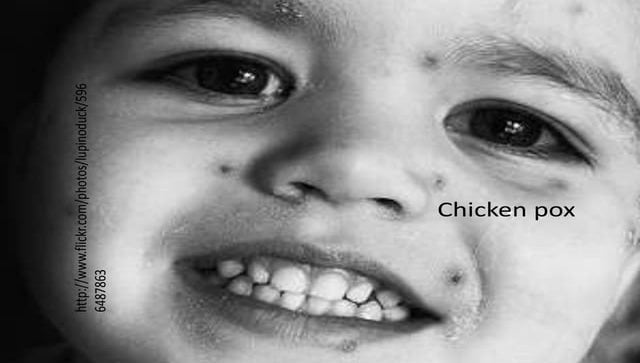 Brianna Foley's Instagram, Twitter & Facebook on IDCrawl