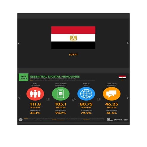 Digital Egypt 2023 report for E-Commerce | PDF