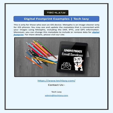 Digital Footprint Examples | PDF