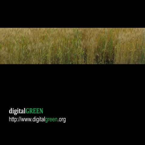 Digital Green Overview | PPTX