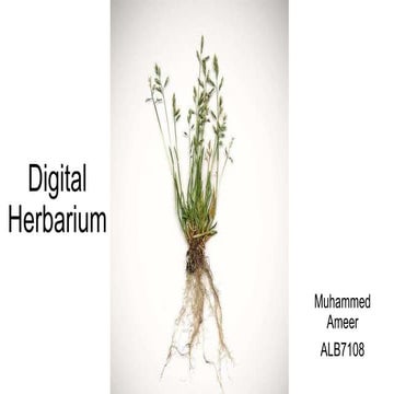 Digital herbarium of plants | PPTX