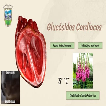 Digitalicos: Tratamiento para Insuficiencia cardiaca | PDF