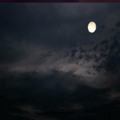 Digital imaging in orthodontics | PPT | 3-D Graphics | Computer ...