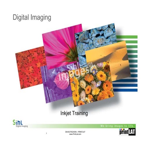Digital imaging training_2011 PrintLAT | PPT