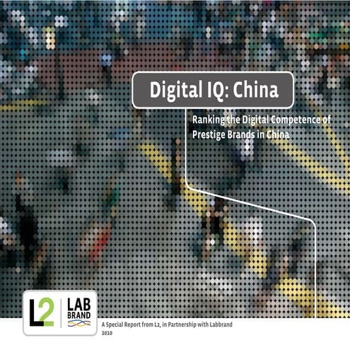 Digital IQ China | PDF