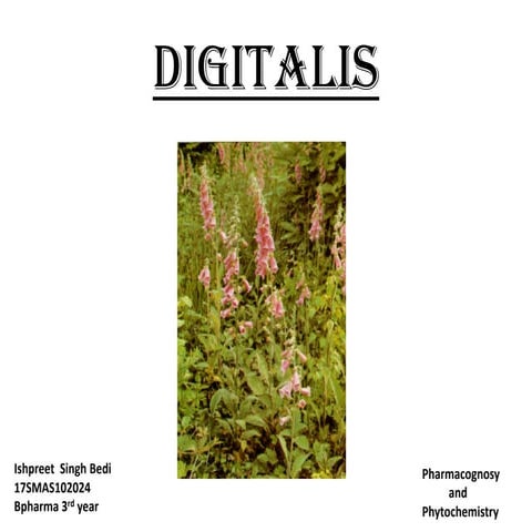 Digitalis | PDF