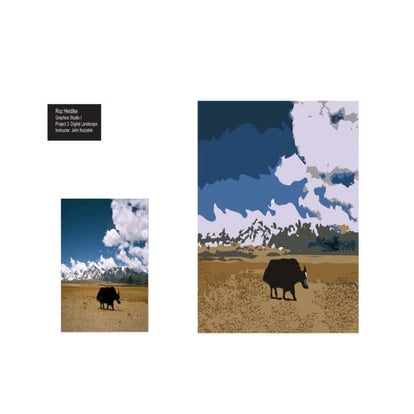 Digital Landscape | PDF