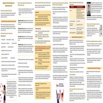 DigitalLibrary.IECMaterials.RA 11313 - Safe Spaces Act_compressed.pdf