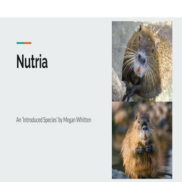 Nutria | PDF