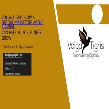 digital marketing agency- volga tigris (1).pptx