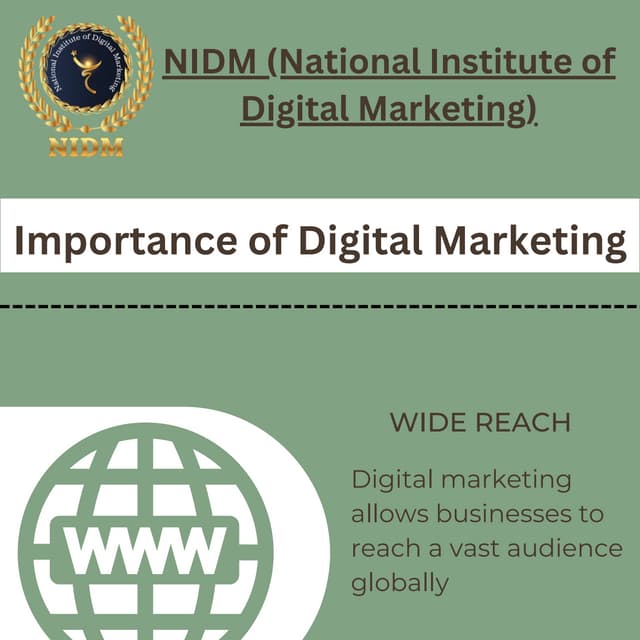 Digital marketing Infographic.pdf