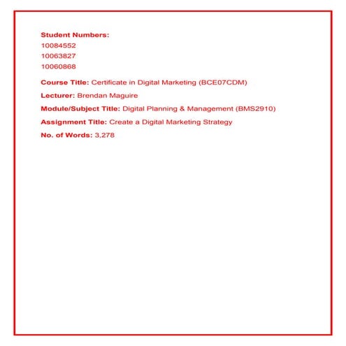 Digital marketing strategy project | PDF