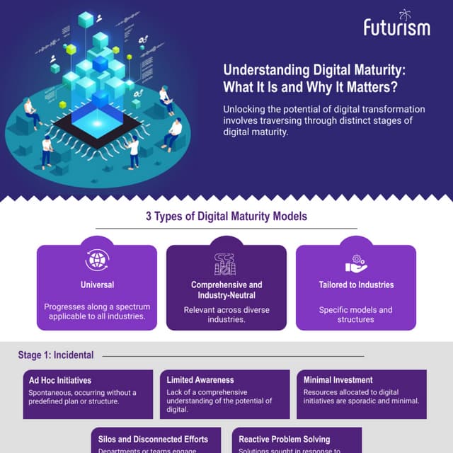 Infographic - Digital Maturity | PDF