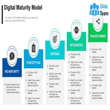 Digital Maturity Model | PDF