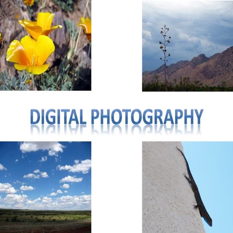 Digital photography for kids | PPT
