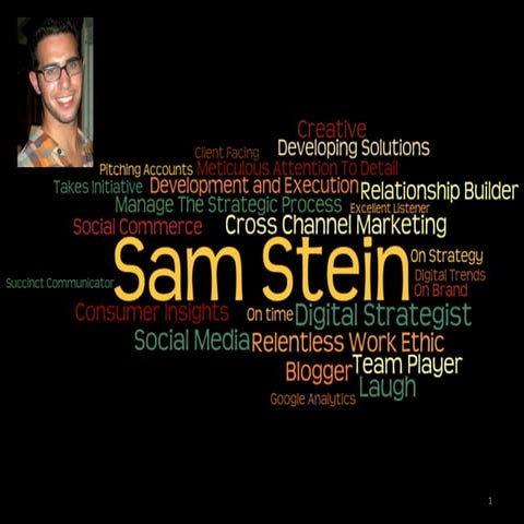 Sam Stein's Digital resume | PPT