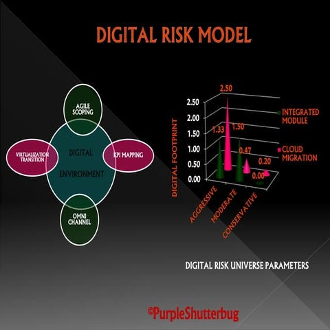 DIGITAL RISK MODEL | PPT
