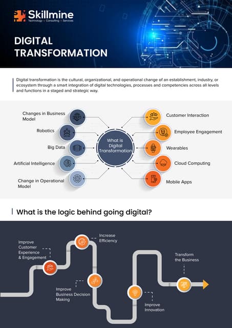 Digital Business Maturity | PPTX