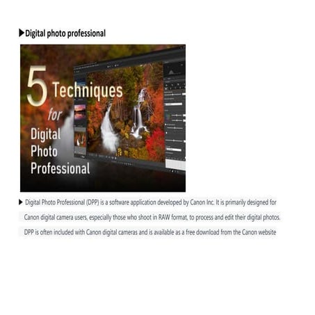 Assignment SMM - Module.docx