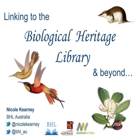 The Biodiversity Heritage Library Portal: The Rectification of Names | PPT