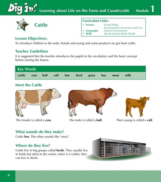 Baby farm animals | PPT | Birds | Pets