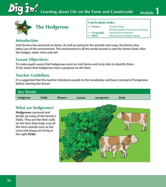 Living Things and their Environment | PDF