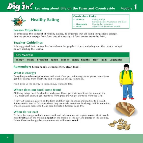 Dig resources food | PDF