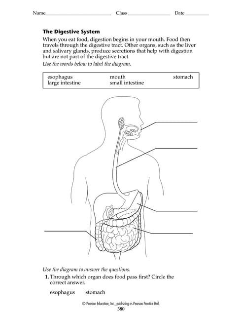 Calorie lab report info | PPTX
