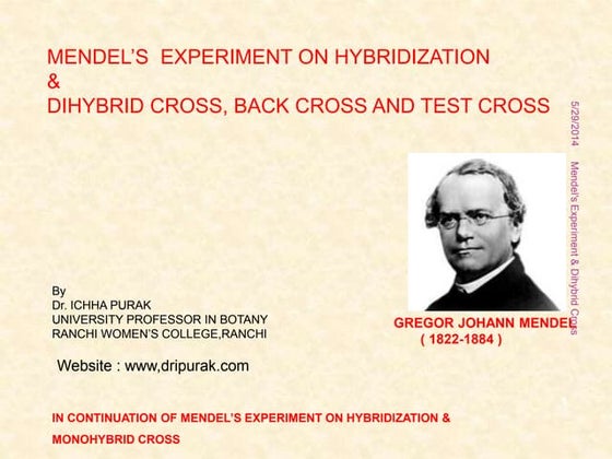 51 Mendels Experiments Ppt