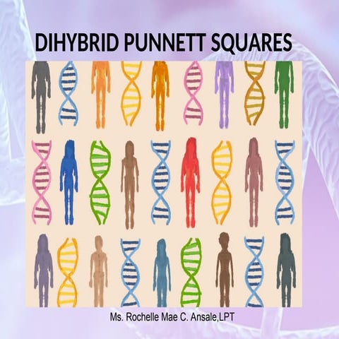 Understanding Dihybrid Punnett Squares: Genetics Probability and ...