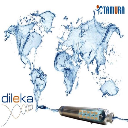 Woda naturalna DILEKA | PPT