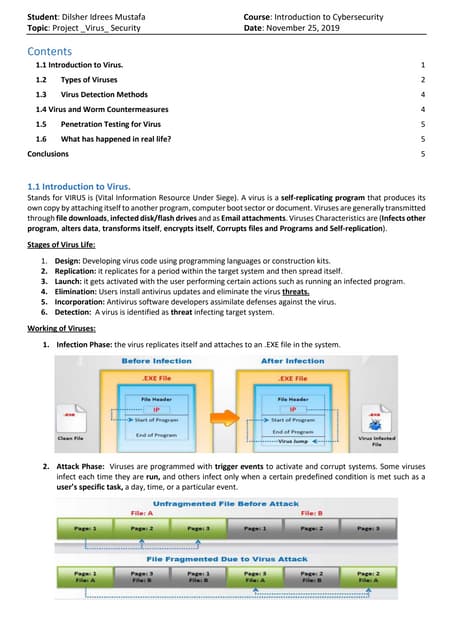 CLASS VII COMPUTER SECURITY | PDF
