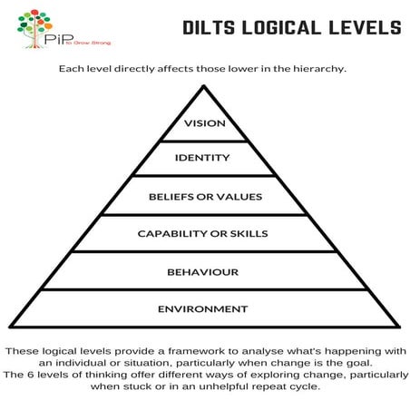 Dilts Logical Levels (adapted) | PDF