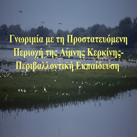 ΔΗΜΑΚΗ - Γνωριμία με τη Προστατευόμενη Περιοχή της Λίμνης Κερκίνης ...