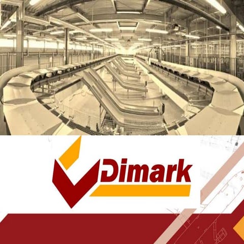 Dimark - the company profile | PPT