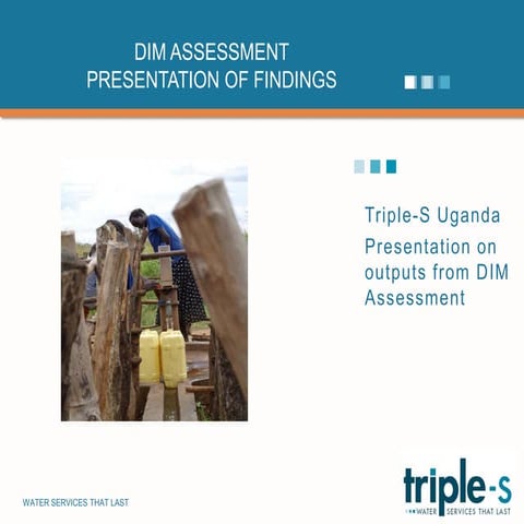 Dim assessment key issues | PDF
