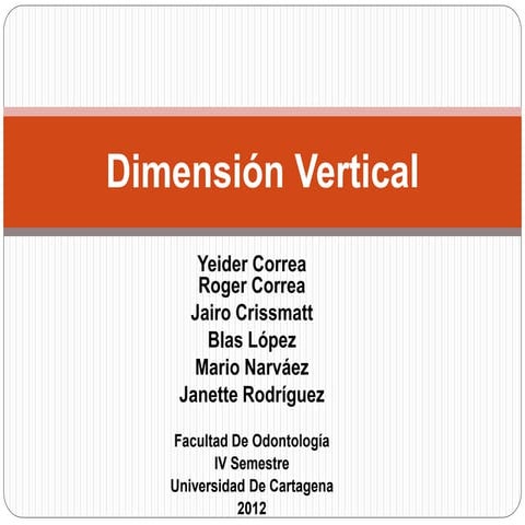 Dimensión Vertical.pptx
