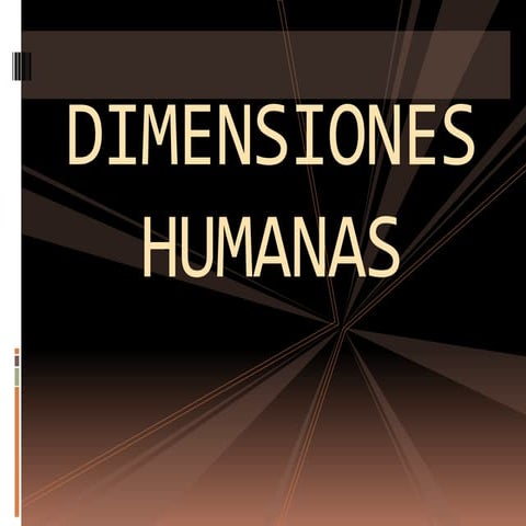 Dimensiones humanas | PPT