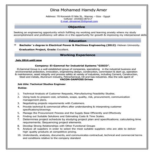 Dina amer cv | PDF